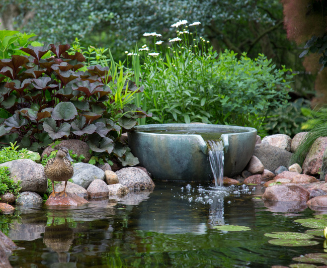 Water Feature Installation, Gray | New Hope Aquascapes